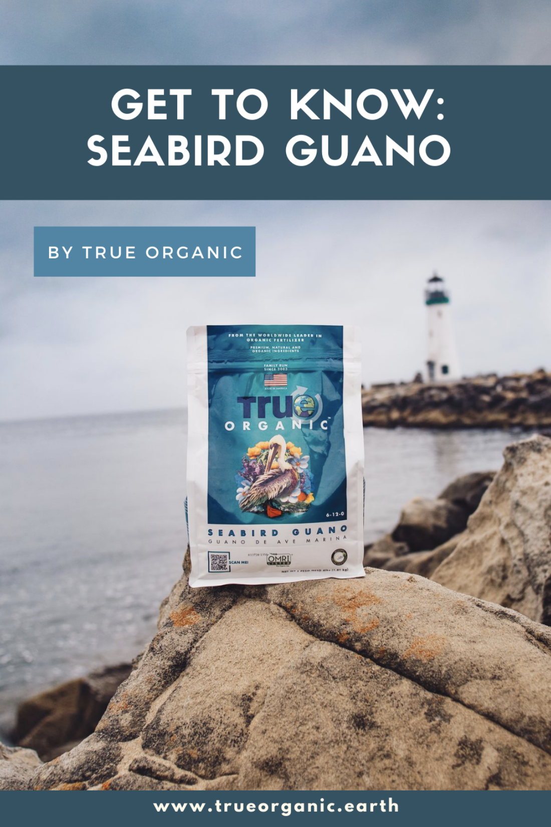Get To Know Seabird Guano