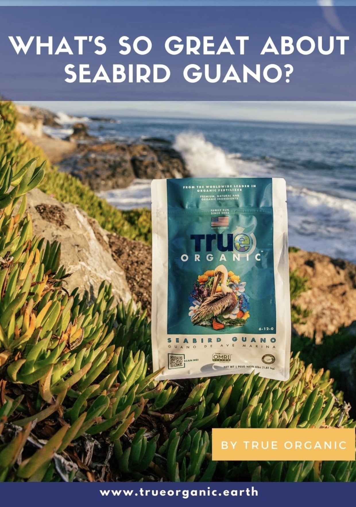 What’s So Great About Seabird Guano?