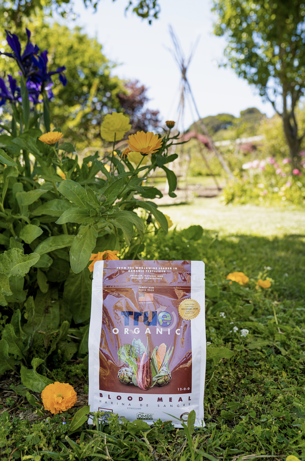6 Reasons to Use Blood Meal in Your Garden