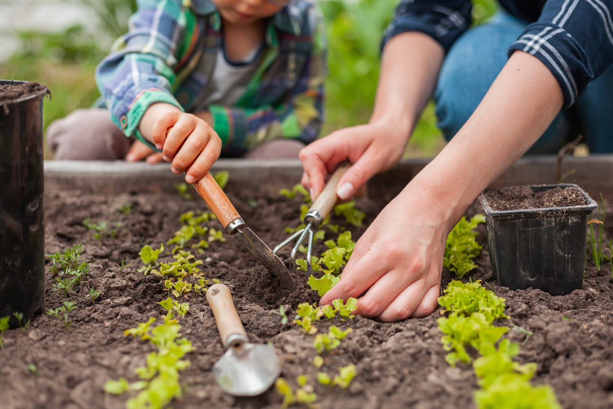 True Organic Fun Gardening Activities for Kids - True Organic