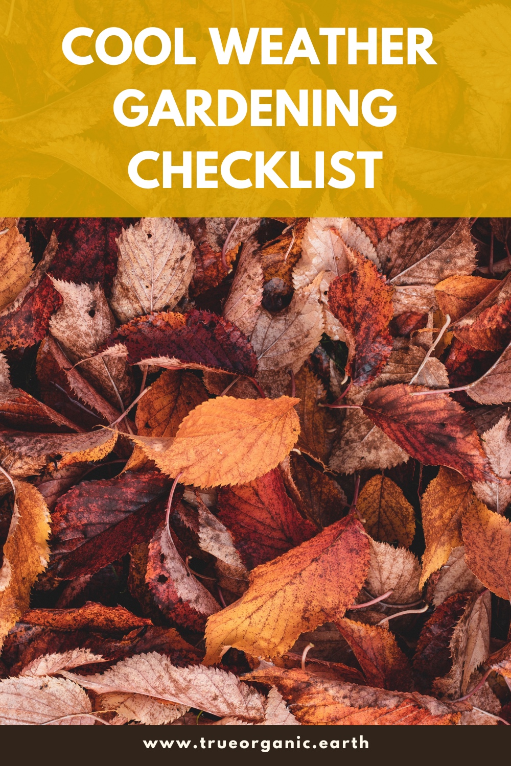 Cool Weather Gardening Checklist - True Organic