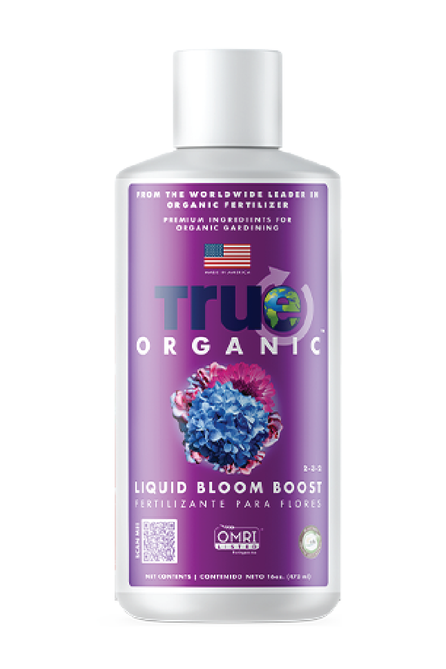 Berry Food - True Organic