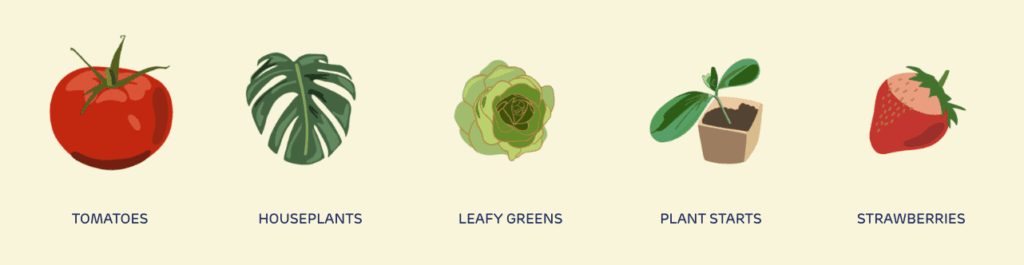 Liquid Preplant Starter - True Organic