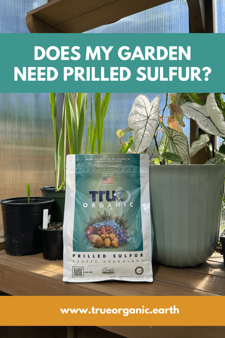 Does Your Garden Need Prilled Sulfur?