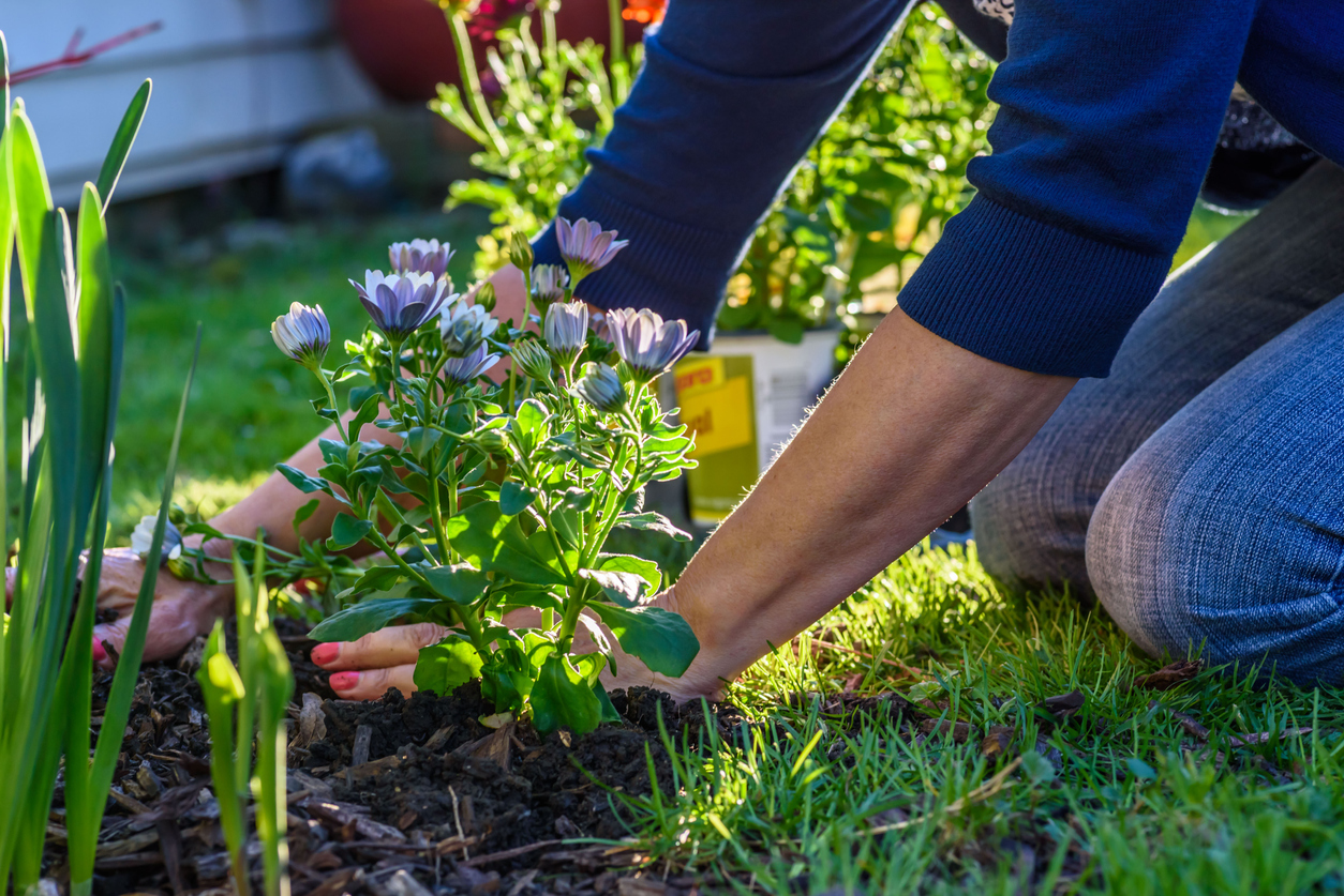 Does Your Garden Need Prilled Sulfur?