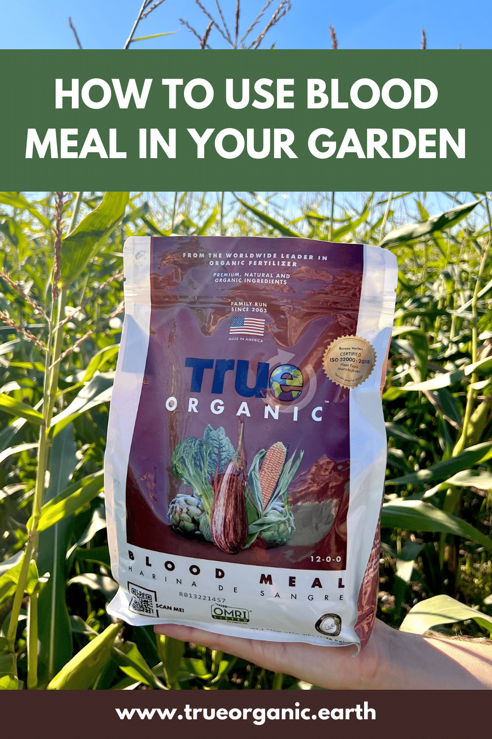 How and Why to Use Blood Meal in Your Garden