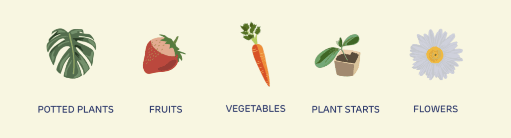 Organic Root Enhancer - True Organic