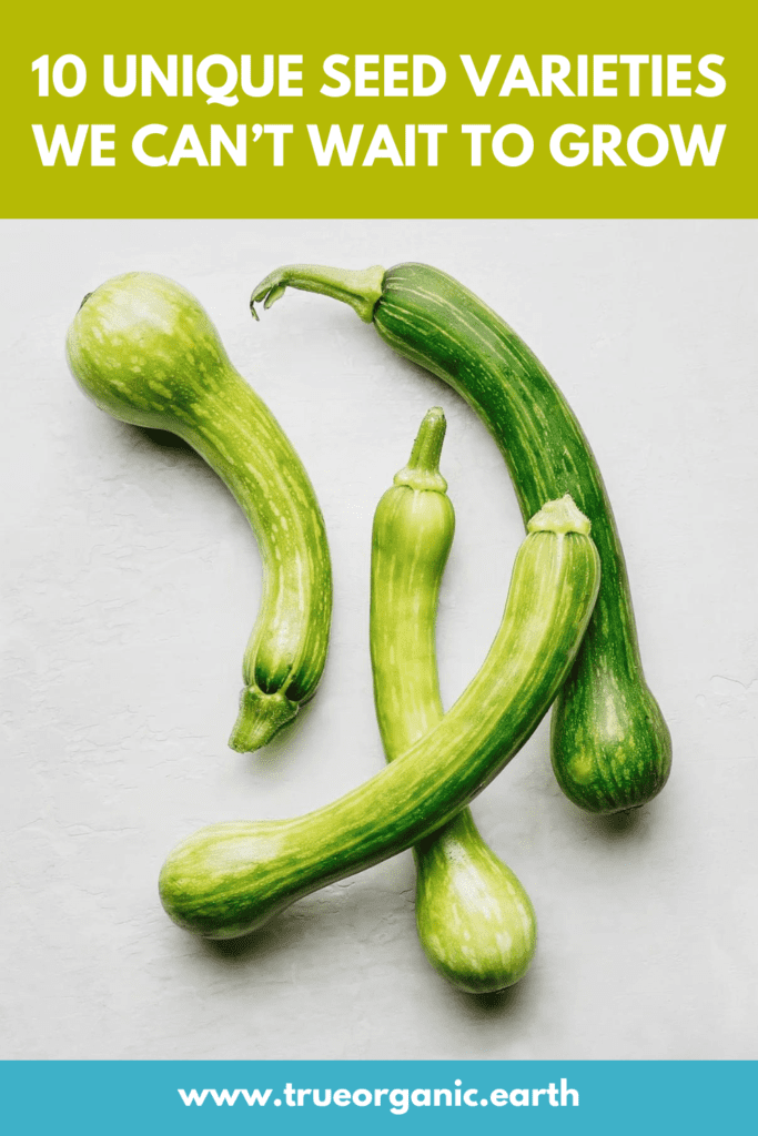 10 Unique Seed Varieties We Can’t Wait To Grow in 2024